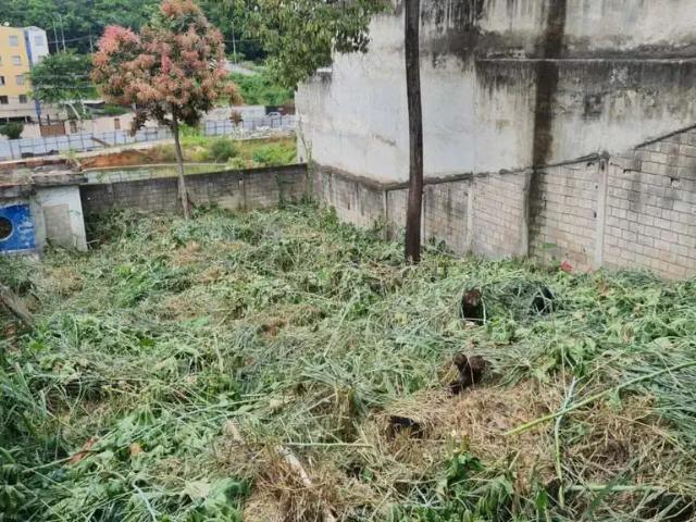 Terreno / Lote para Venda em Belo Horizonte/MG São João Batista