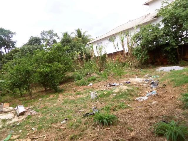 Terreno / Lote para Venda em Belo Horizonte/MG São Luiz