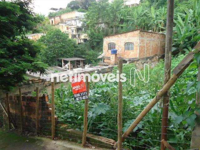 Terreno / Lote para Venda em Belo Horizonte/MG Salgado Filho