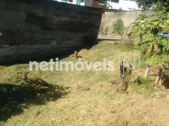 Terreno / Lote para Venda em Belo Horizonte/MG Salgado Filho