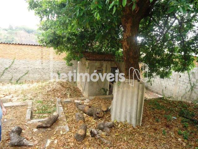 Terreno / Lote para Venda em Belo Horizonte/MG Santa Maria