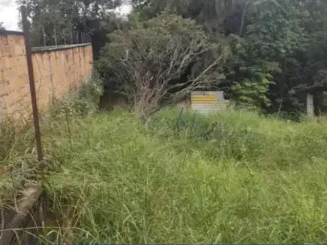 Terreno / Lote para Venda em Belo Horizonte/MG Santa Mônica 1 Quartos