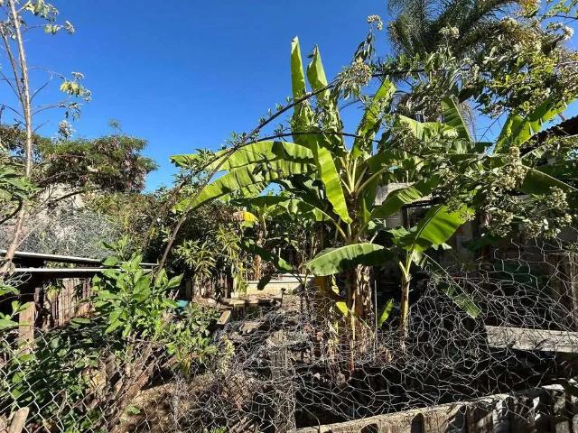 Terreno / Lote para Venda em Belo Horizonte/MG Santa Mônica
