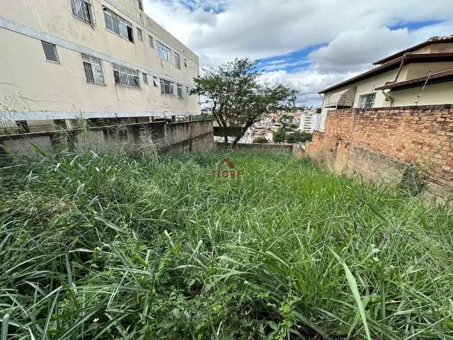 Terreno / Lote para Venda em Belo Horizonte/MG Santa Amélia