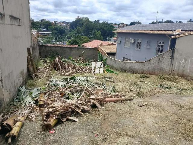 Terreno / Lote para Venda em Belo Horizonte/MG Santa Amélia