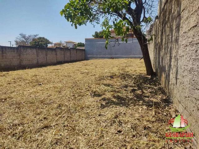 Terreno / Lote para Venda em Belo Horizonte/MG Santa Amélia
