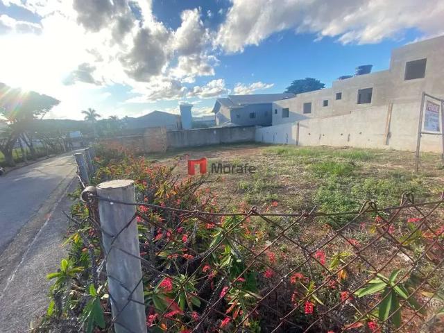 Terreno / Lote para Venda em Belo Horizonte/MG Santa Amélia