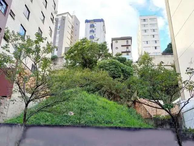 Terreno / Lote para Venda em Belo Horizonte/MG Santo Antônio