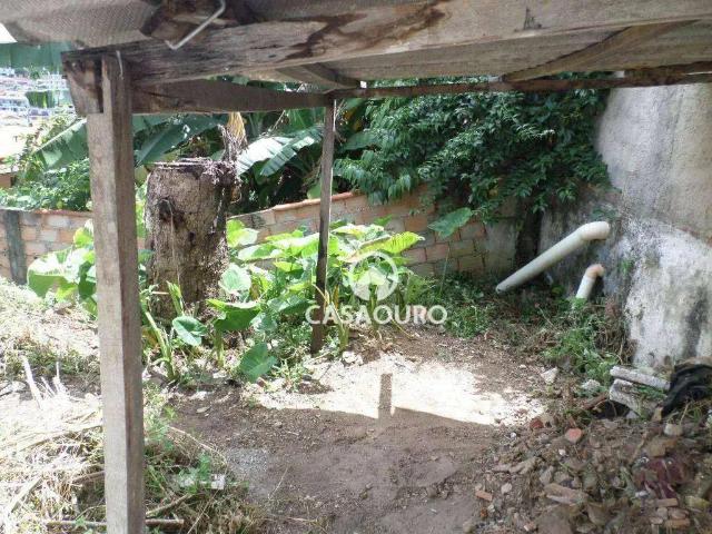 Terreno / Lote para Venda em Belo Horizonte/MG Santo Antônio