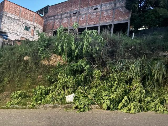 Terreno / Lote para Venda em Belo Horizonte/MG Taquaril