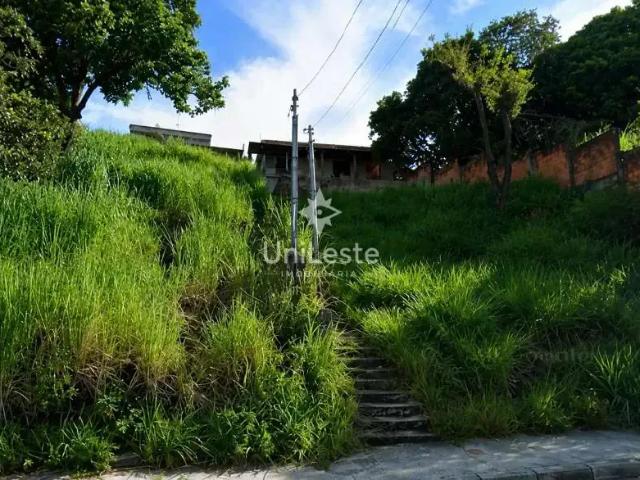 Terreno / Lote para Venda em Belo Horizonte/MG União
