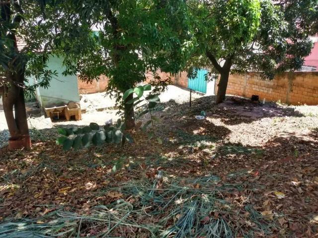 Terreno / Lote para Venda em Belo Horizonte/MG Universitário