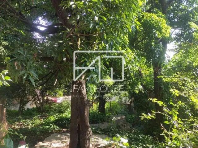 Terreno / Lote para Venda em Belo Horizonte/MG Vila Cloris