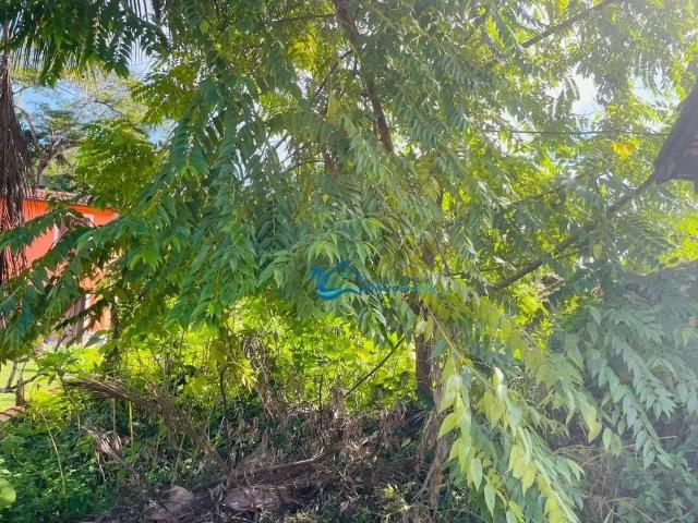 Terreno / Lote para Venda em Bertioga/SP Guaratuba