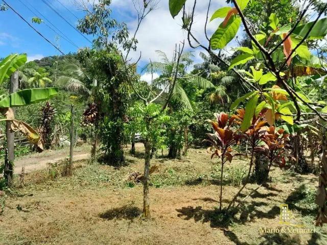 Terreno / Lote para Venda em Bertioga/SP São João