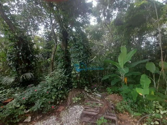 Terreno / Lote para Venda em Bertioga/SP São Lourenço