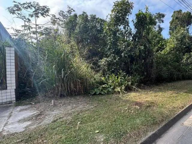 Terreno / Lote para Venda em Bertioga/SP São Lourenço