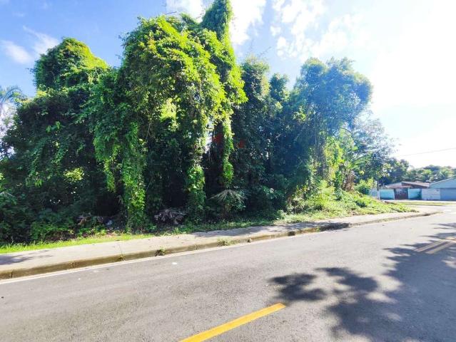 Terreno / Lote para Venda em Bertioga/SP Vista Linda
