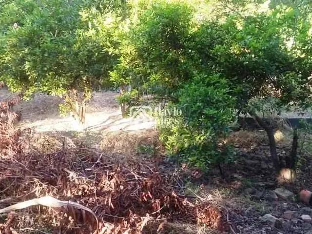 Terreno / Lote para Venda em Betim/MG Bom Retiro