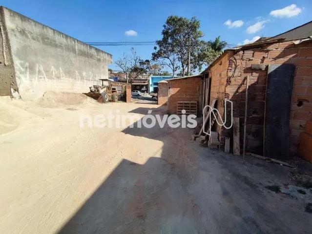 Terreno / Lote para Venda em Betim/MG Cruzeiro do Sul