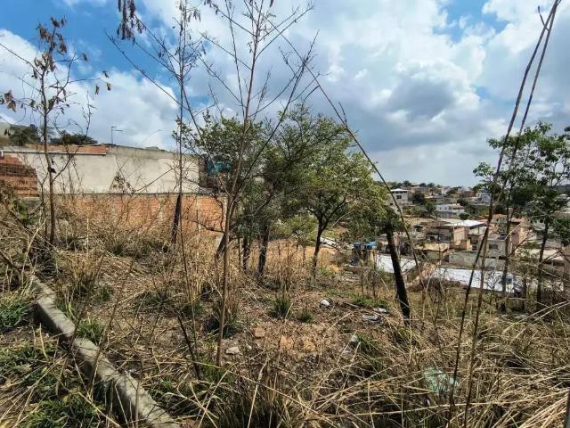 Terreno / Lote para Venda em Betim/MG Duque de Caxias