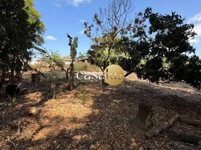 Terreno / Lote para Venda em Betim/MG Estância do Sereno PTB