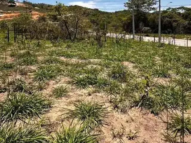 Terreno / Lote para Venda em Betim/MG Parque das Indústrias