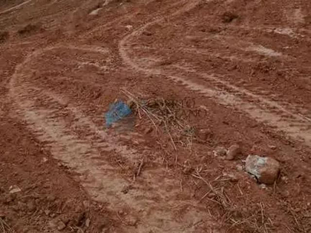 Terreno / Lote para Venda em Betim/MG Pimentas