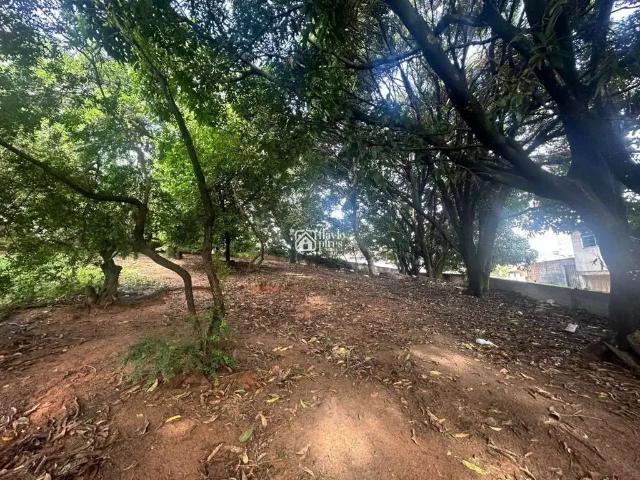 Terreno / Lote para Venda em Betim/MG Senhora Das Graças