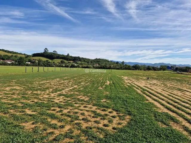 Terreno / Lote para Venda em Biguaçu/SC Centro