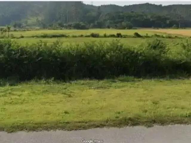 Terreno / Lote para Venda em Biguaçu/SC Área Rural de Biguaçu