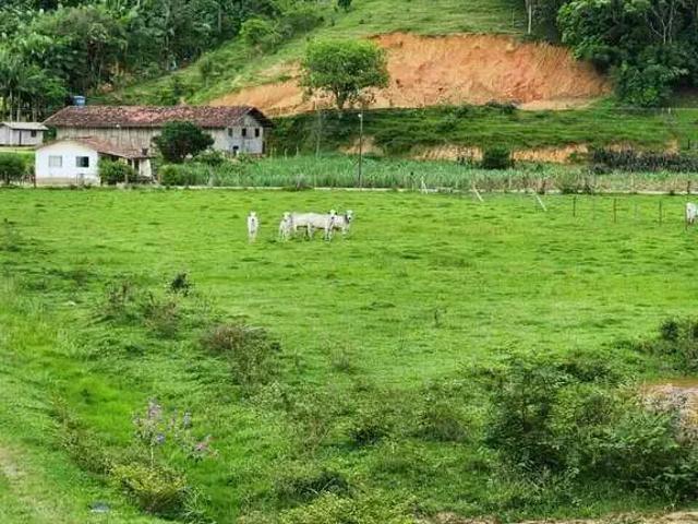 Terreno / Lote para Venda em Biguaçu/SC Área Rural de Biguaçu