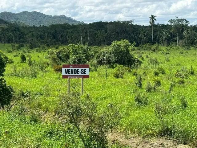 Terreno / Lote para Venda em Biguaçu/SC Área Rural de Biguaçu
