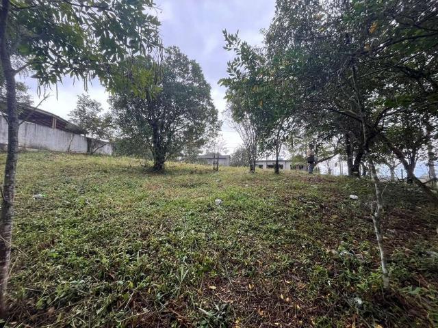 Terreno / Lote para Venda em Biguaçu/SC Areias de Cima Guaporanga
