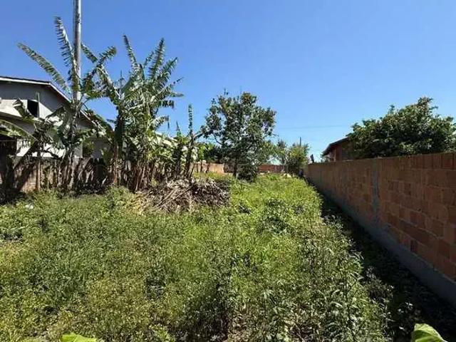 Terreno / Lote para Venda em Biguaçu/SC Bom Viver
