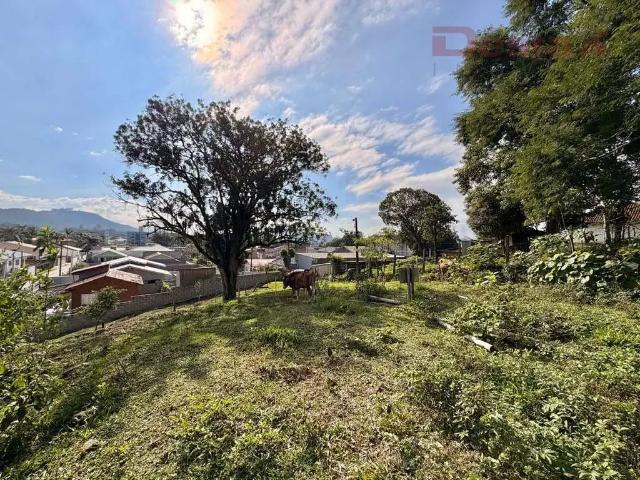 Terreno / Lote para Venda em Biguaçu/SC Fundos