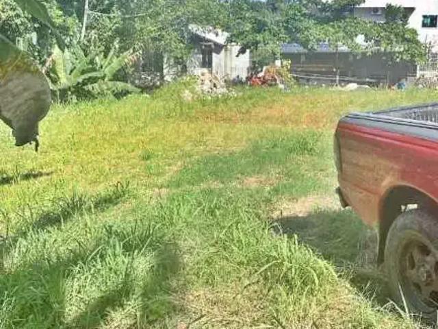 Terreno / Lote para Venda em Biguaçu/SC Jardim Janaina