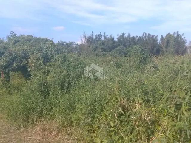 Terreno / Lote para Venda em Biguaçu/SC Mar das Pedras
