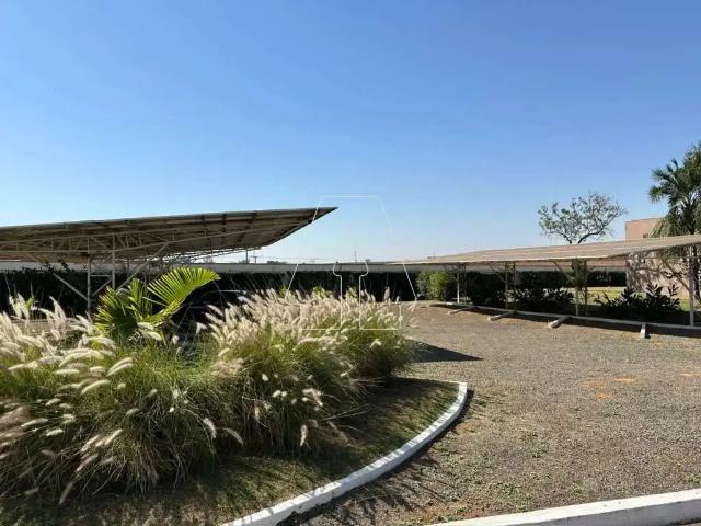 Terreno / Lote para Venda em Birigui/SP Condomínio Residencial Guatambu Park