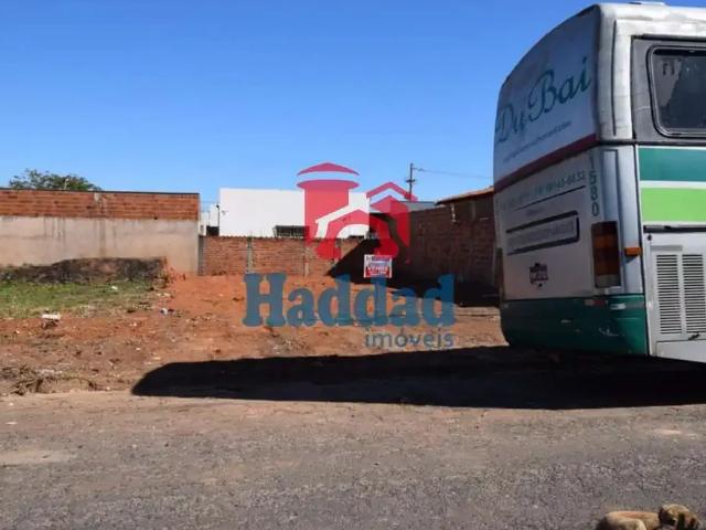 Terreno / Lote para Venda em Birigui/SP Centro