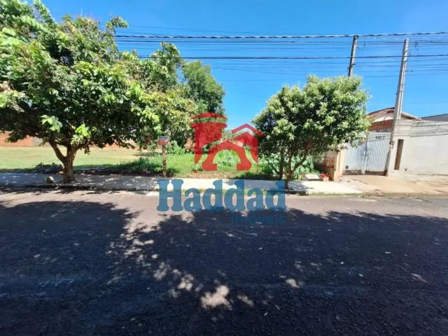 Terreno / Lote para Venda em Birigui/SP Centro