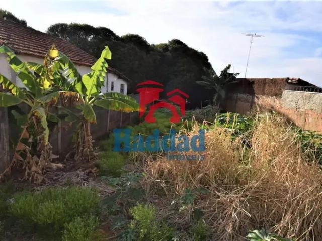 Terreno / Lote para Venda em Birigui/SP Centro