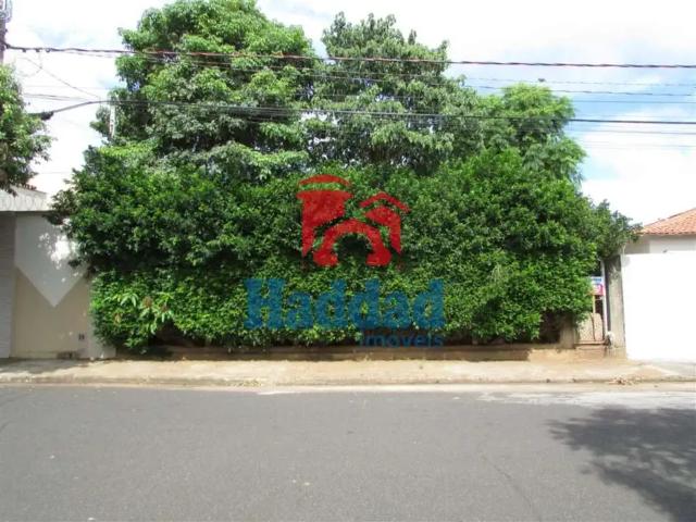 Terreno / Lote para Venda em Birigui/SP Centro