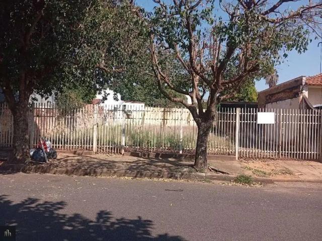 Terreno / Lote para Venda em Birigui/SP Centro