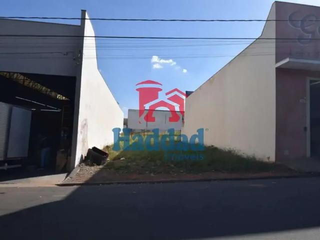 Terreno / Lote para Venda em Birigui/SP Centro