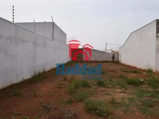 Terreno / Lote para Venda em Birigui/SP Centro