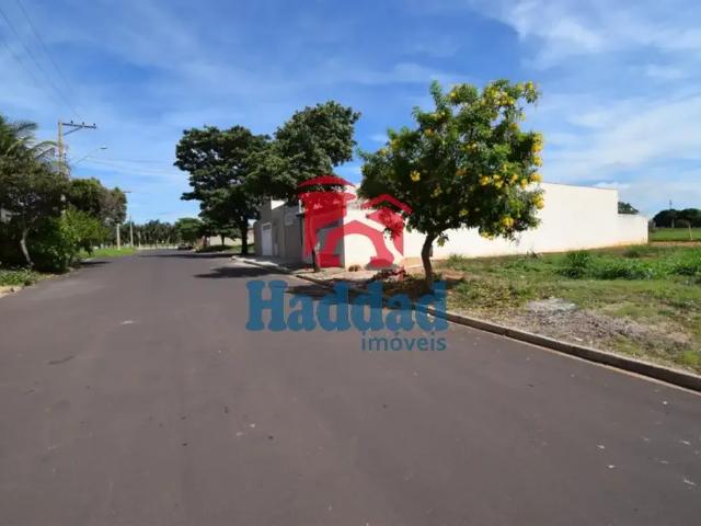 Terreno / Lote para Venda em Birigui/SP Centro