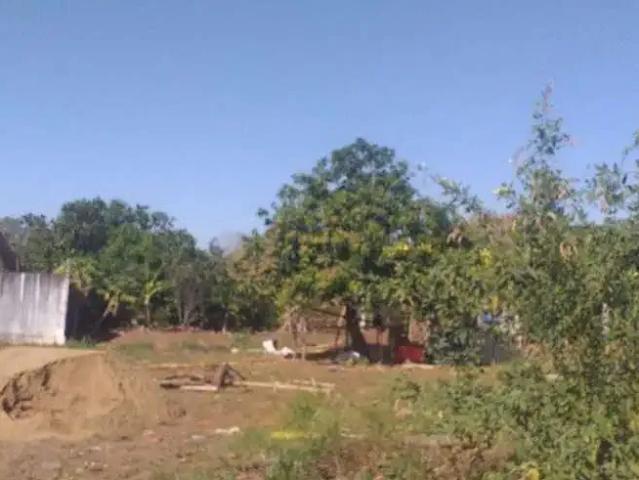 Terreno / Lote para Venda em Birigui/SP Bosque da Saúde