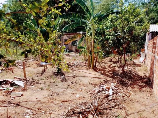 Terreno / Lote para Venda em Birigui/SP João Crevelaro