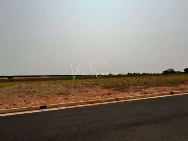 Terreno / Lote para Venda em Birigui/SP Jardim das Oliveira